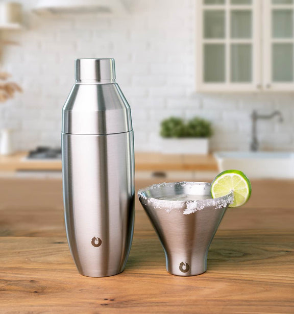 Stainless Steel Cocktail Shaker - Steel – Snowfox